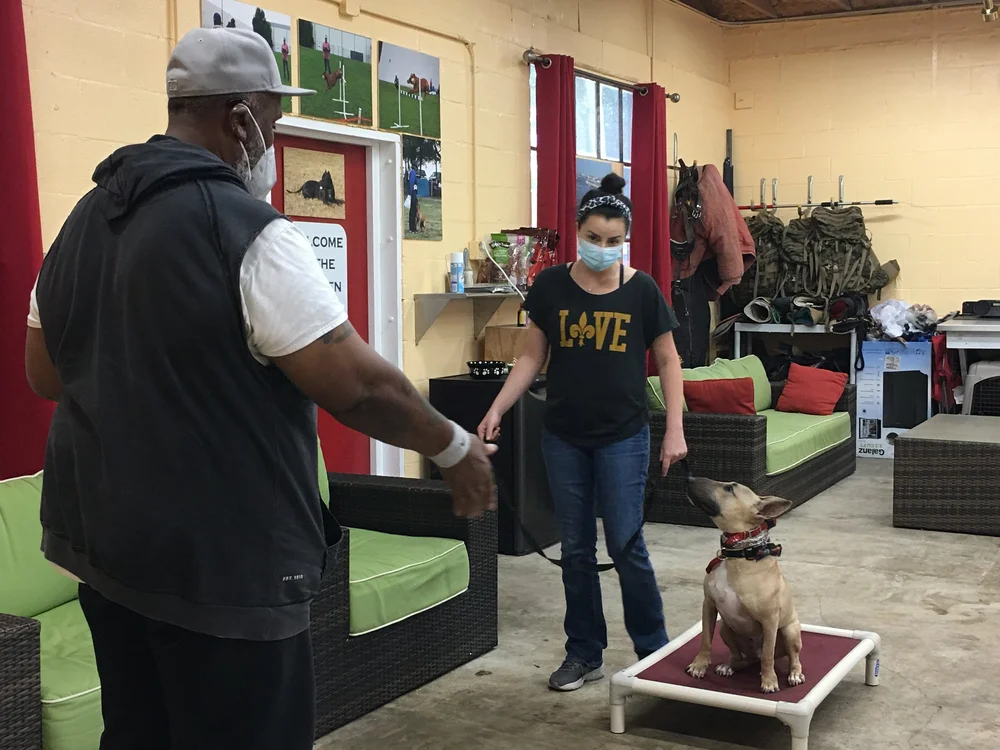 BullPen Dog Training Center