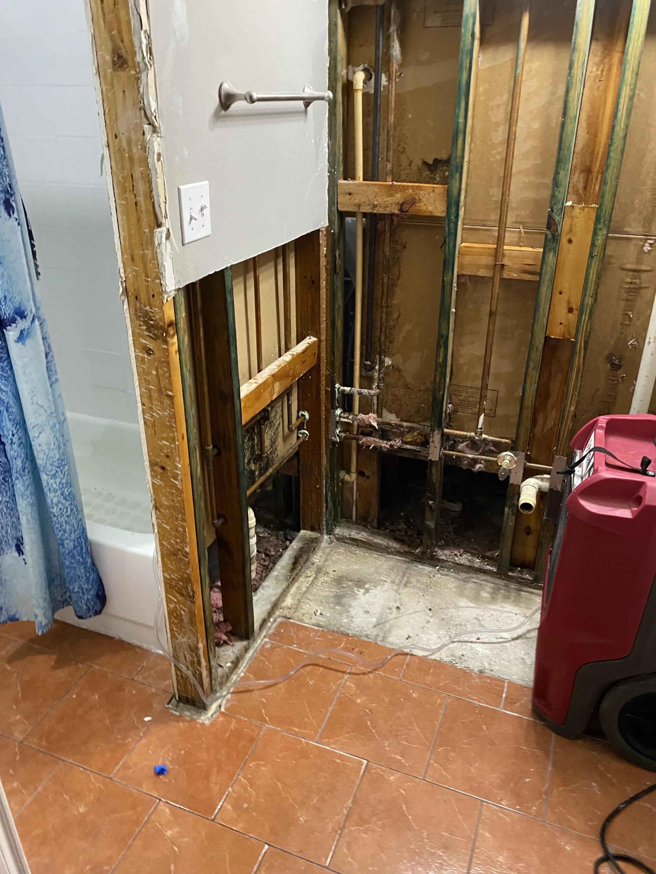 Remediation Services | Full-Service Restoration Company