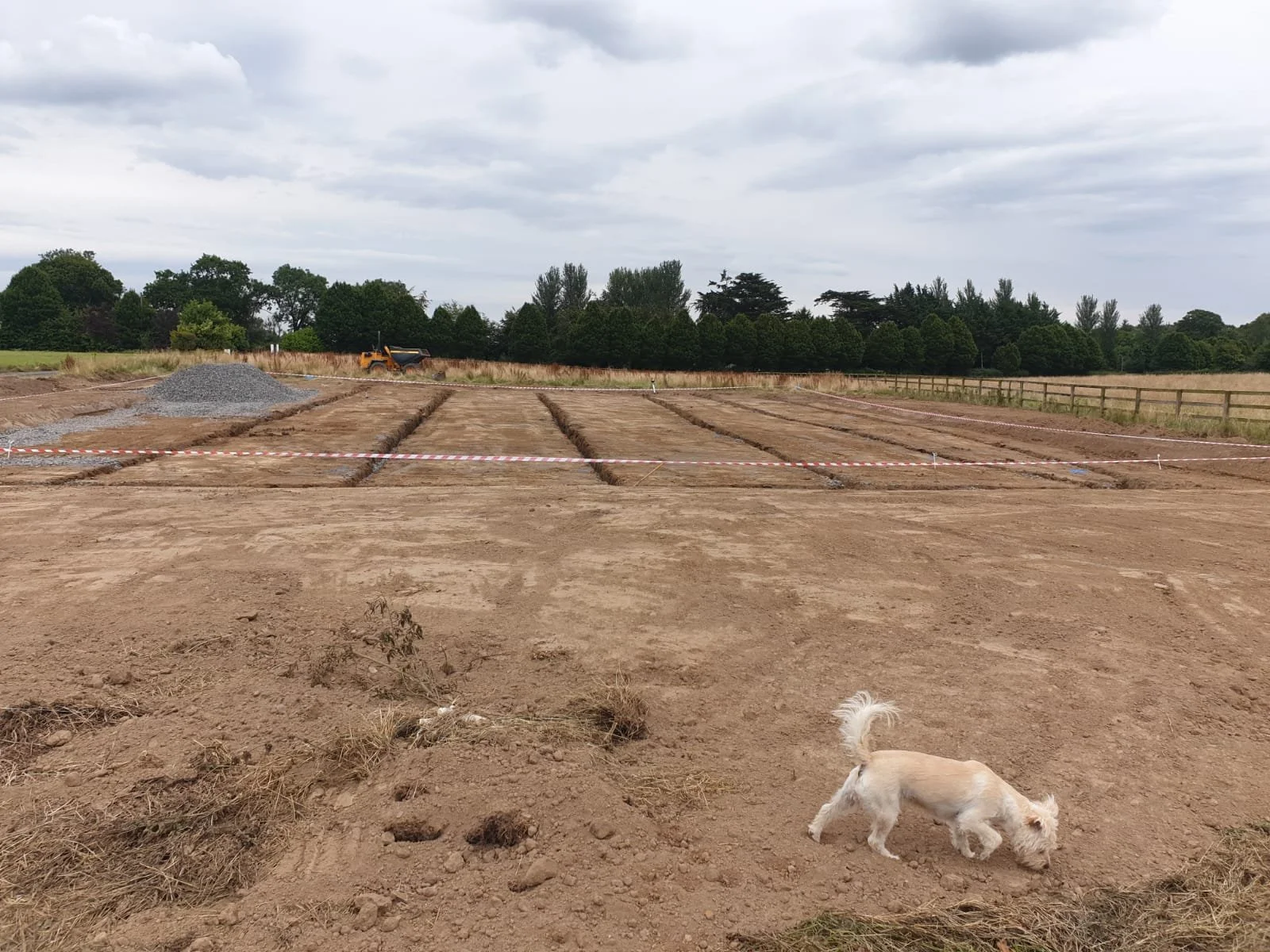 A Beautiful Trot Near Perfect — CDS Equine Livery