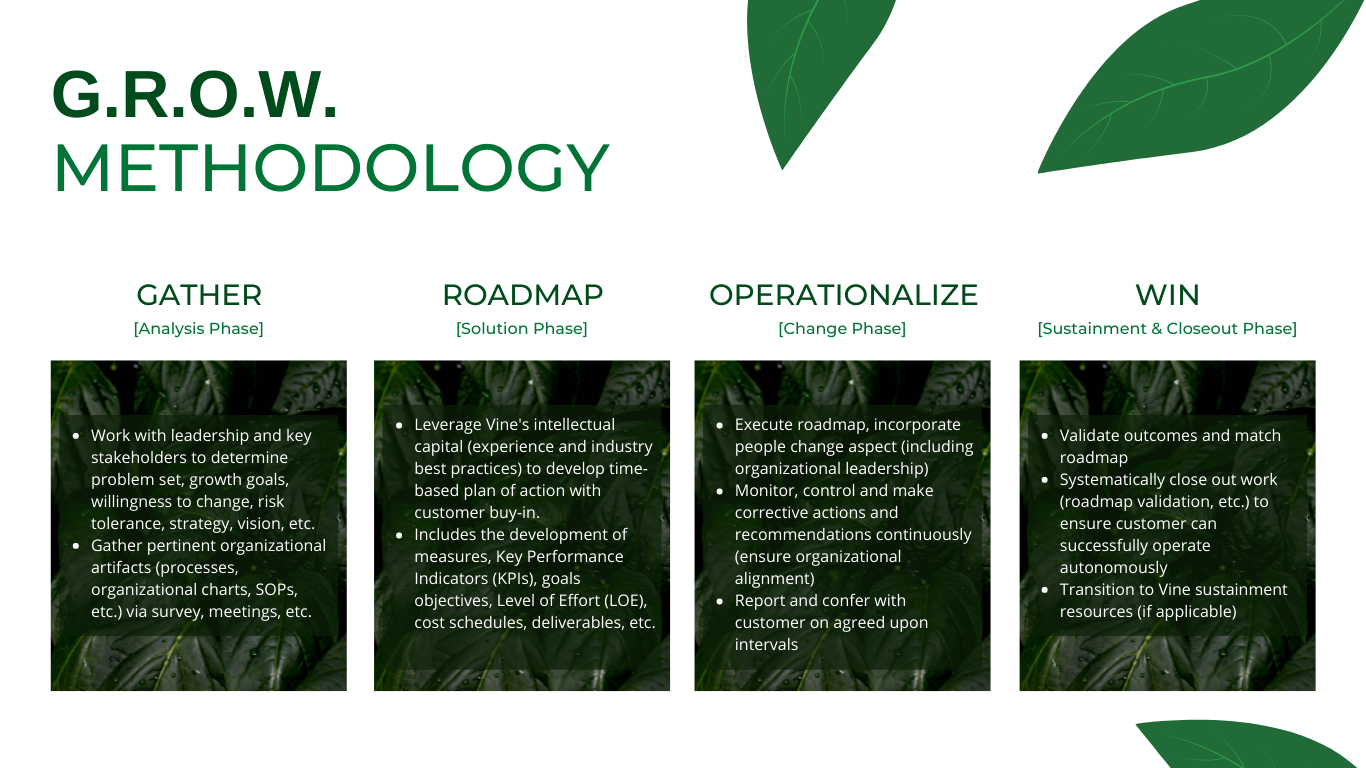 Vine Technology Solutions