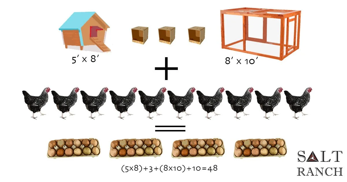 Chicken Math - How much space do I need for my chickens? — Salt Ranch