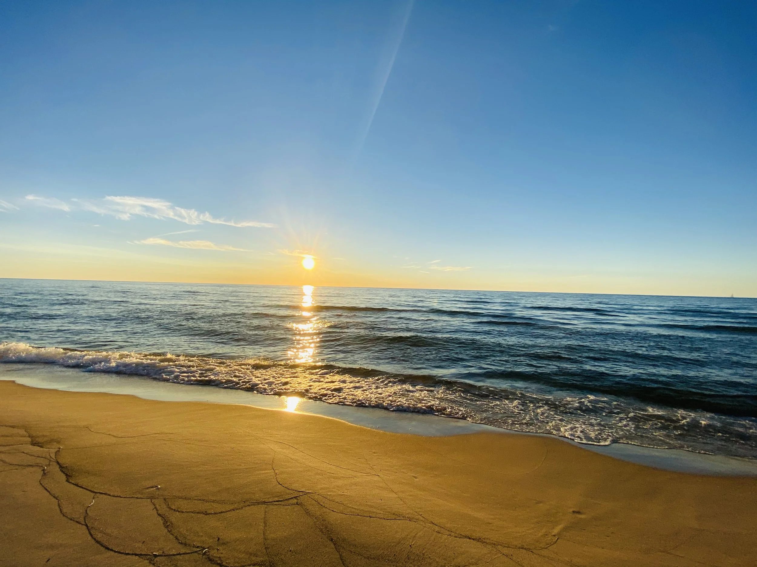 Third Life Brewing Company