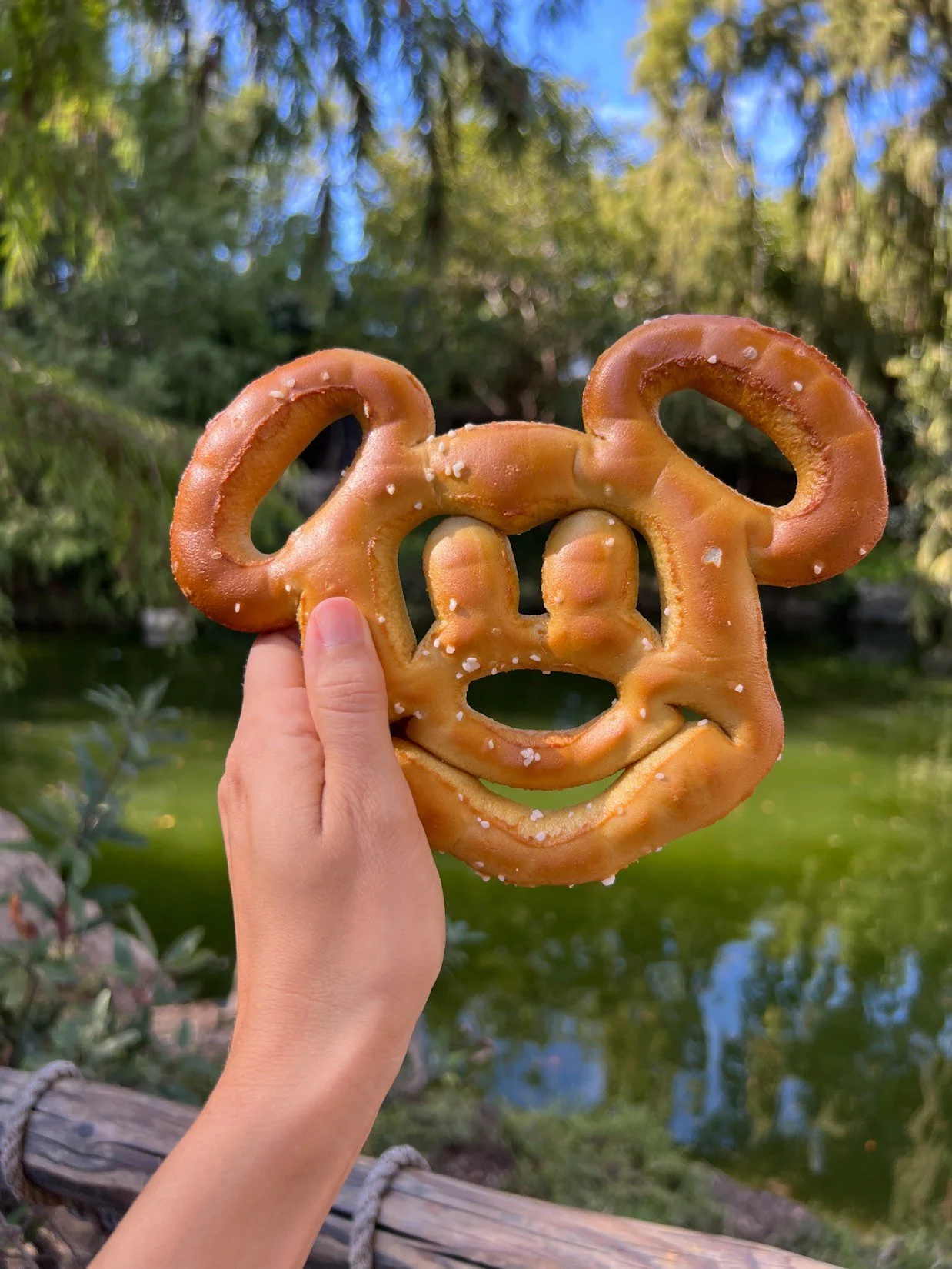 Disneyland & California Adventure in One Day: How We Did It