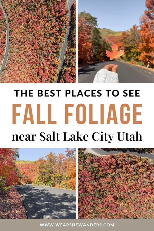 Best Spots for Fall Colors Near Salt Lake City Utah