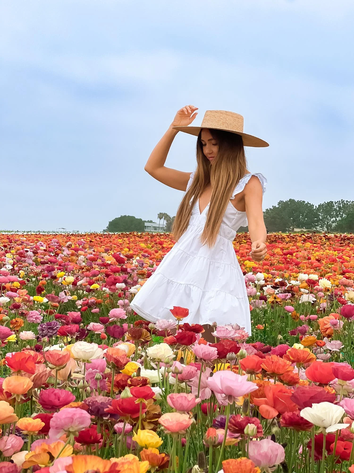 12 Beautiful California Flower Fields You Must Visit This Spring