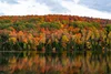 Guide to Visiting Manchester Vermont in the Fall