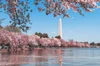10 of the Best Places in the USA to Visit This Spring