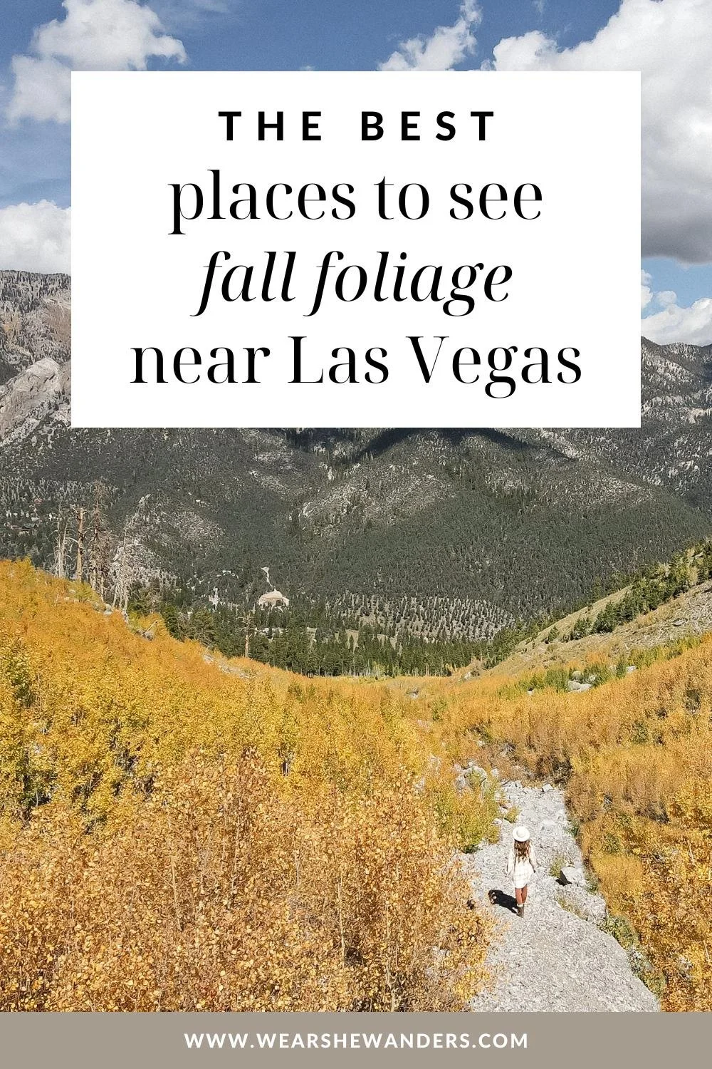 The Best Places to See Fall Foliage Near Las Vegas
