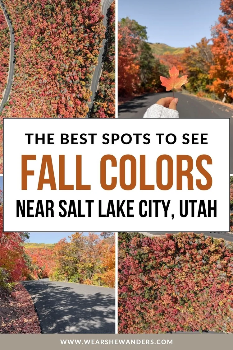 Best Spots for Fall Colors Near Salt Lake City Utah