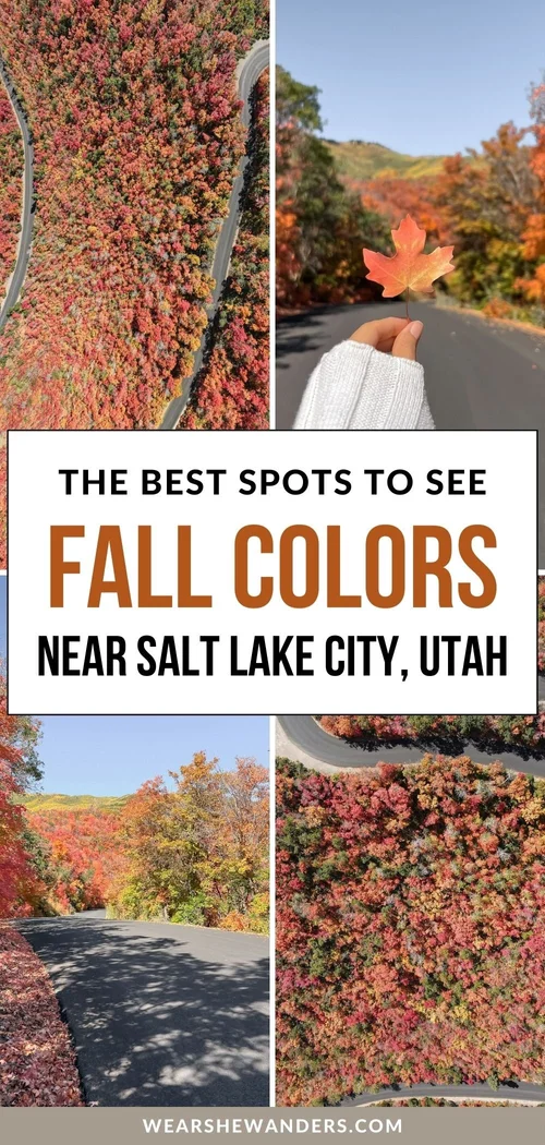 Best Spots for Fall Colors Near Salt Lake City Utah