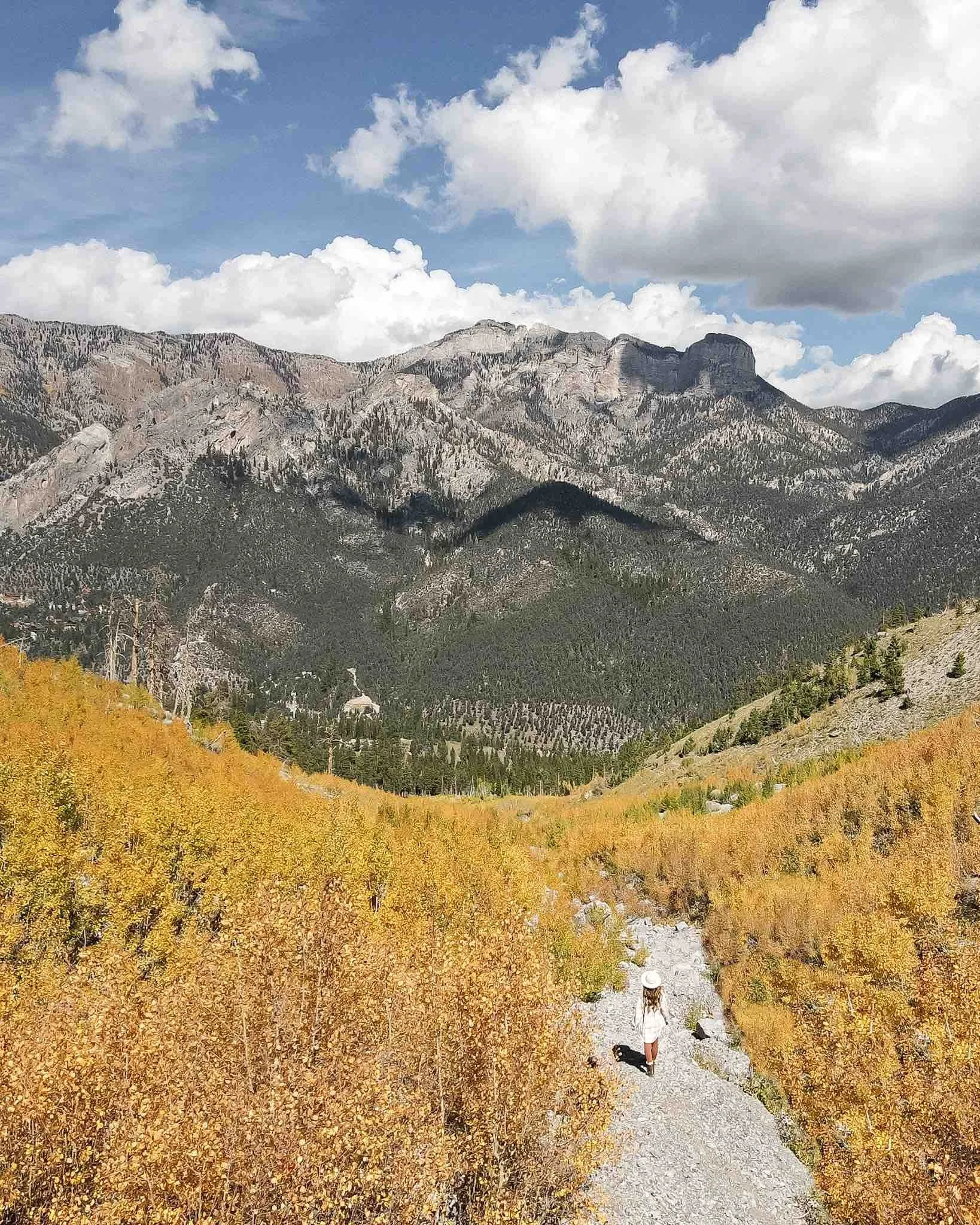 The Best Places to See Fall Foliage Near Las Vegas