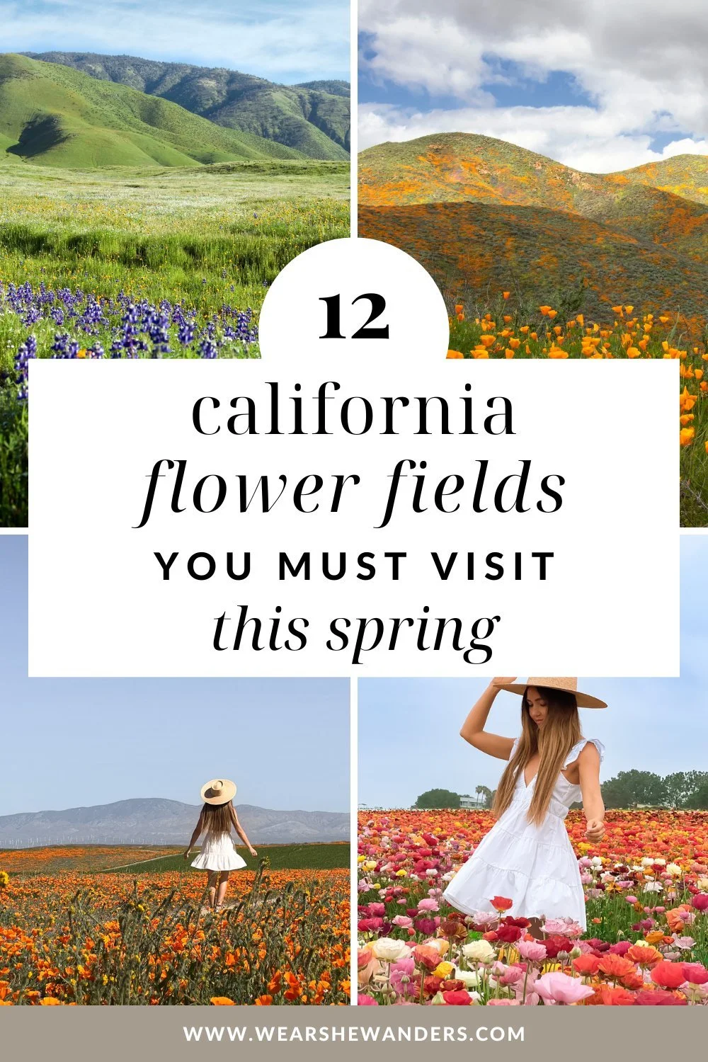 12 Beautiful California Flower Fields You Must Visit This Spring