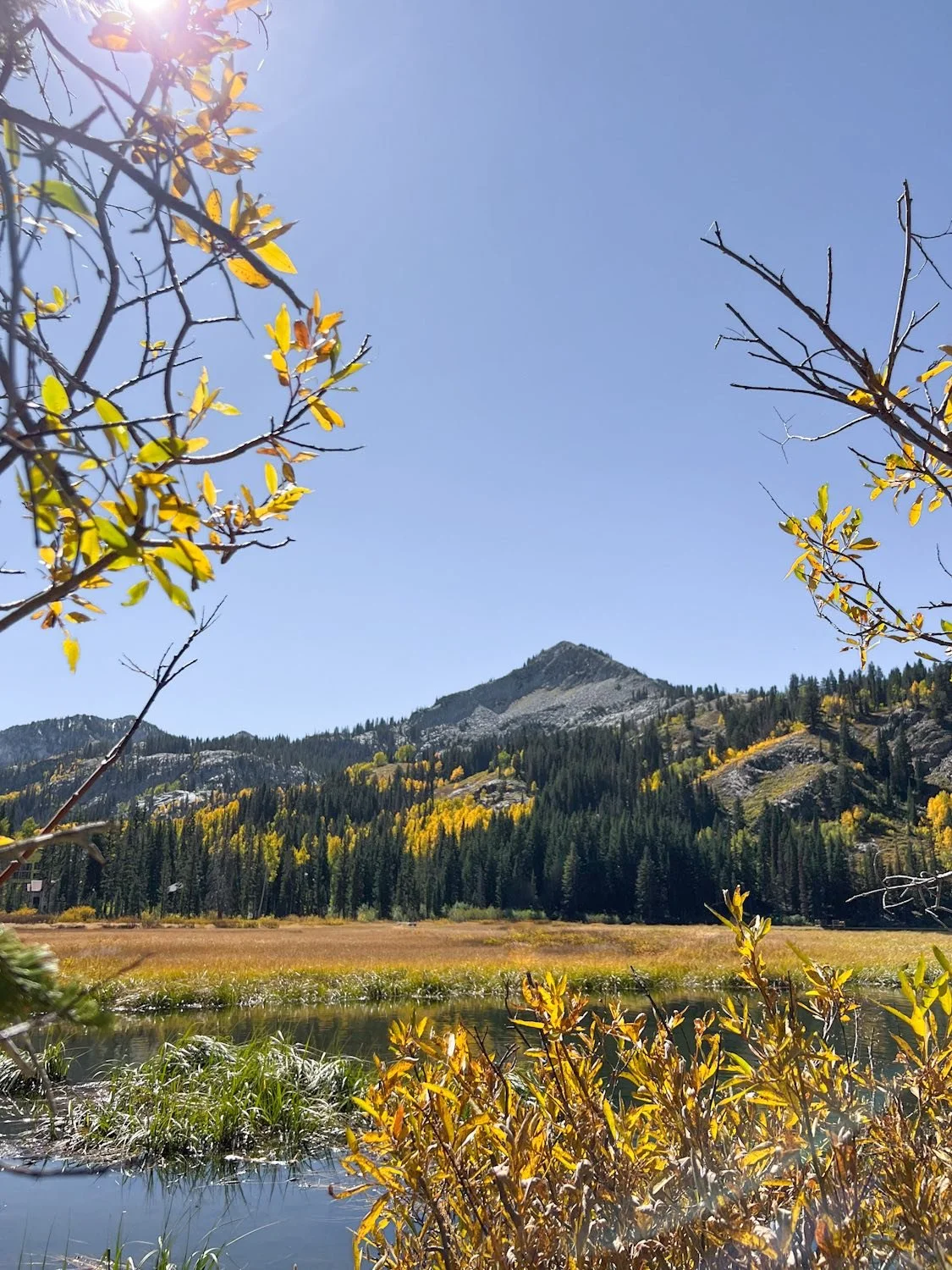 Best Spots for Fall Colors Near Salt Lake City Utah