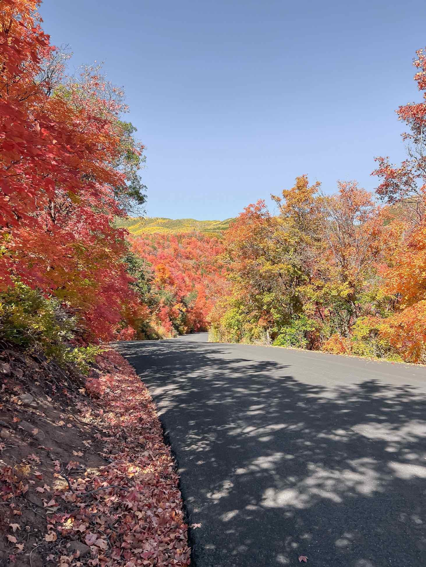 Best Spots for Fall Colors Near Salt Lake City Utah