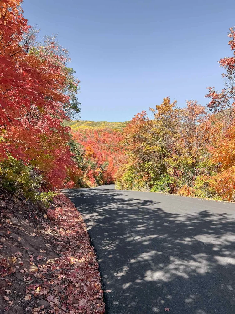 Best Spots for Fall Colors Near Salt Lake City Utah