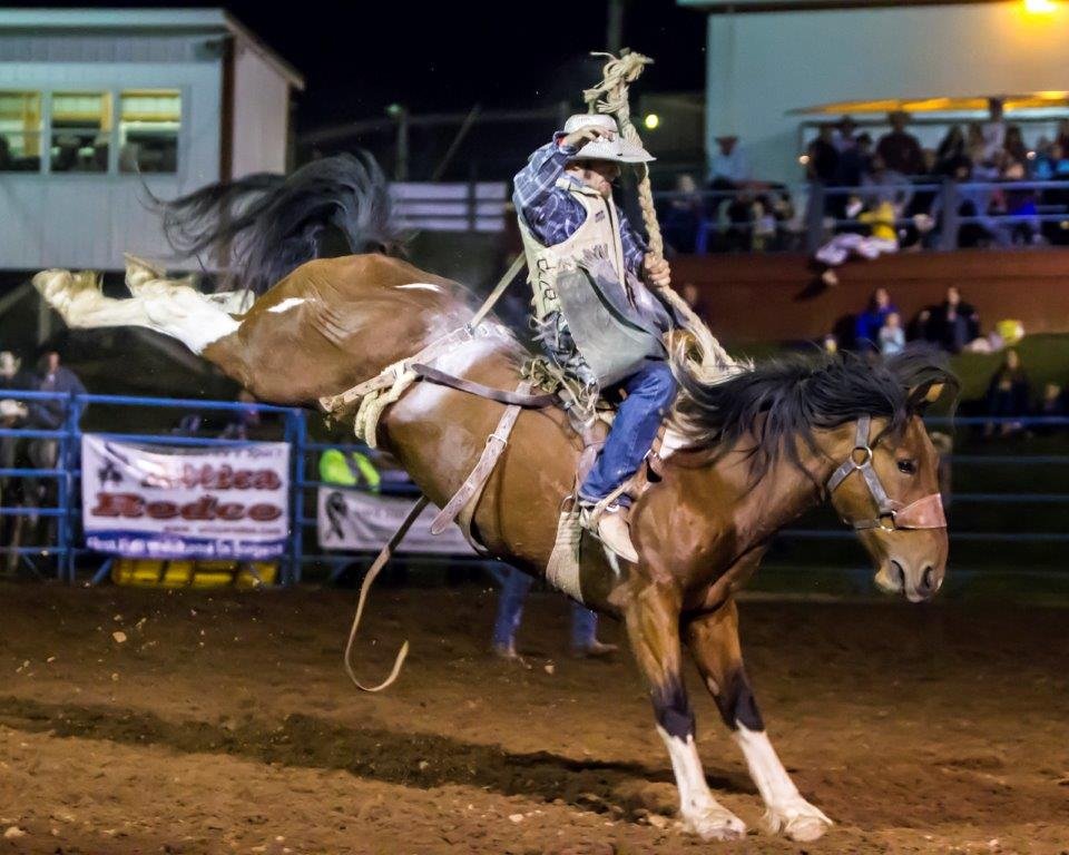 Buckeye Rodeo Company