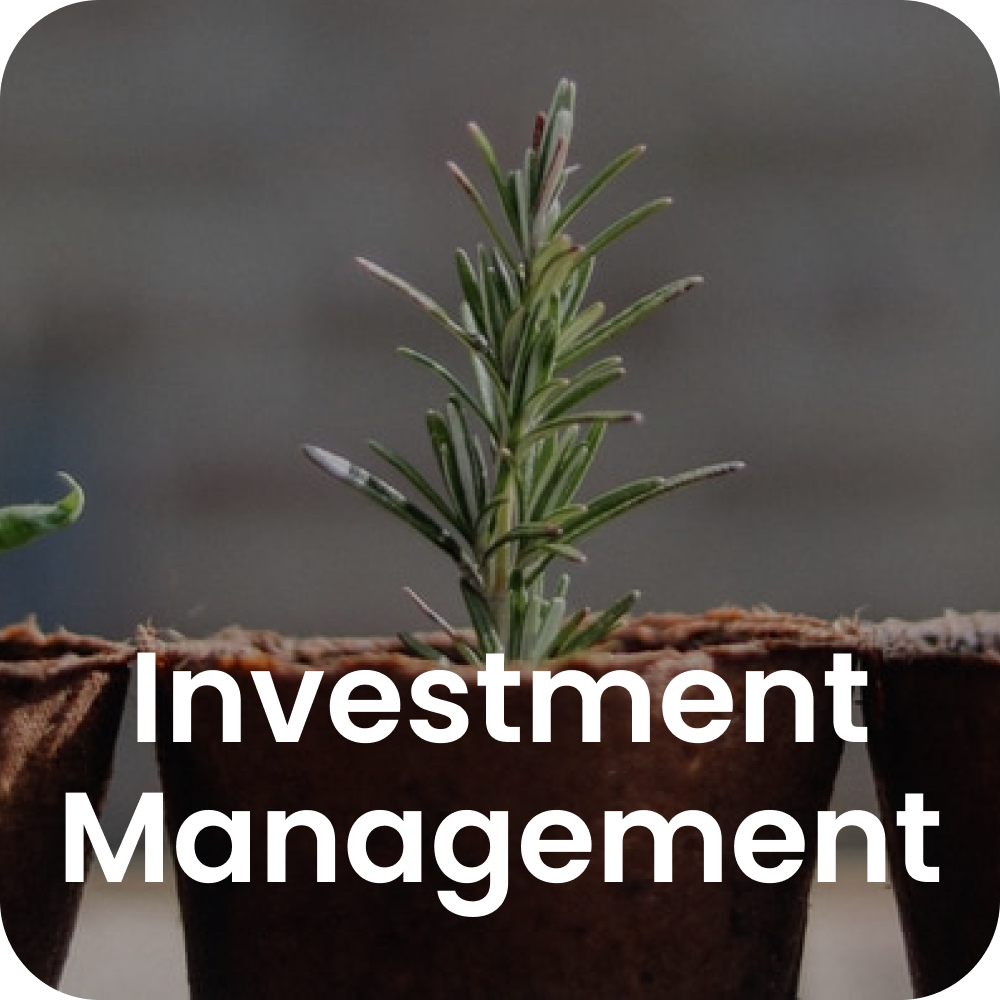 Bluepoint Wealth : Fee-only | Certified Financial Planner™