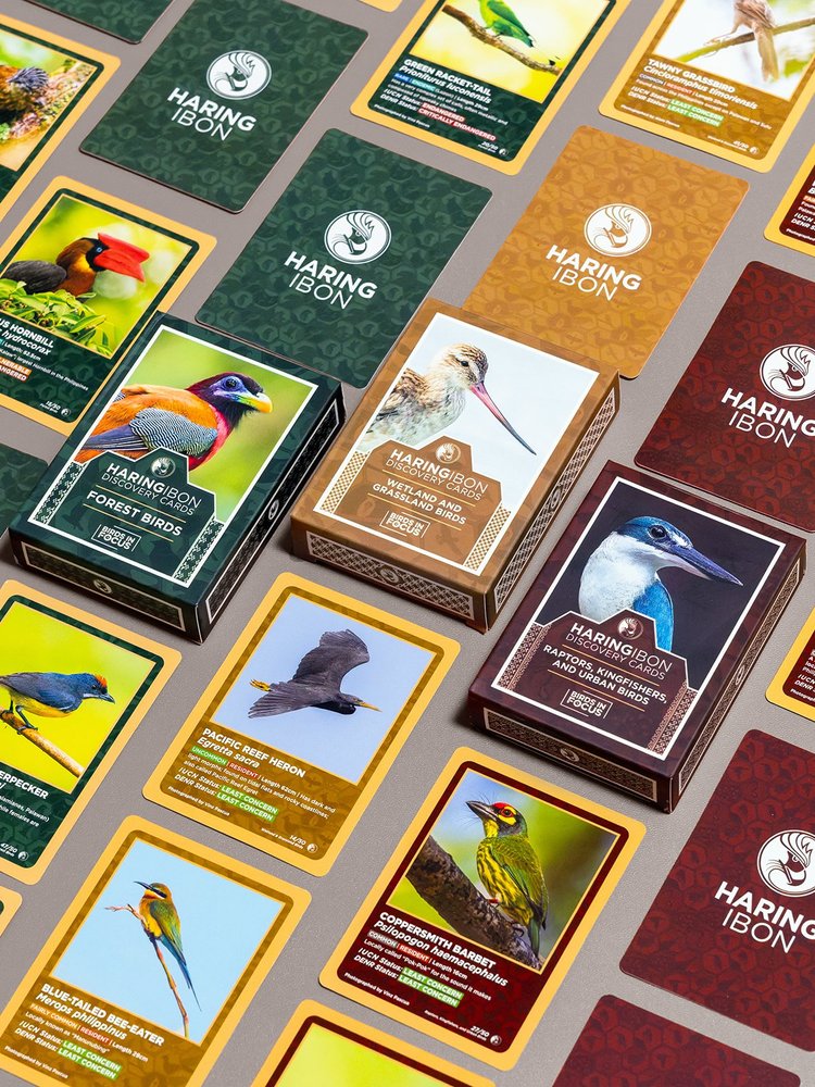 Haring Ibon Discovery Cards — Vinz Pascua