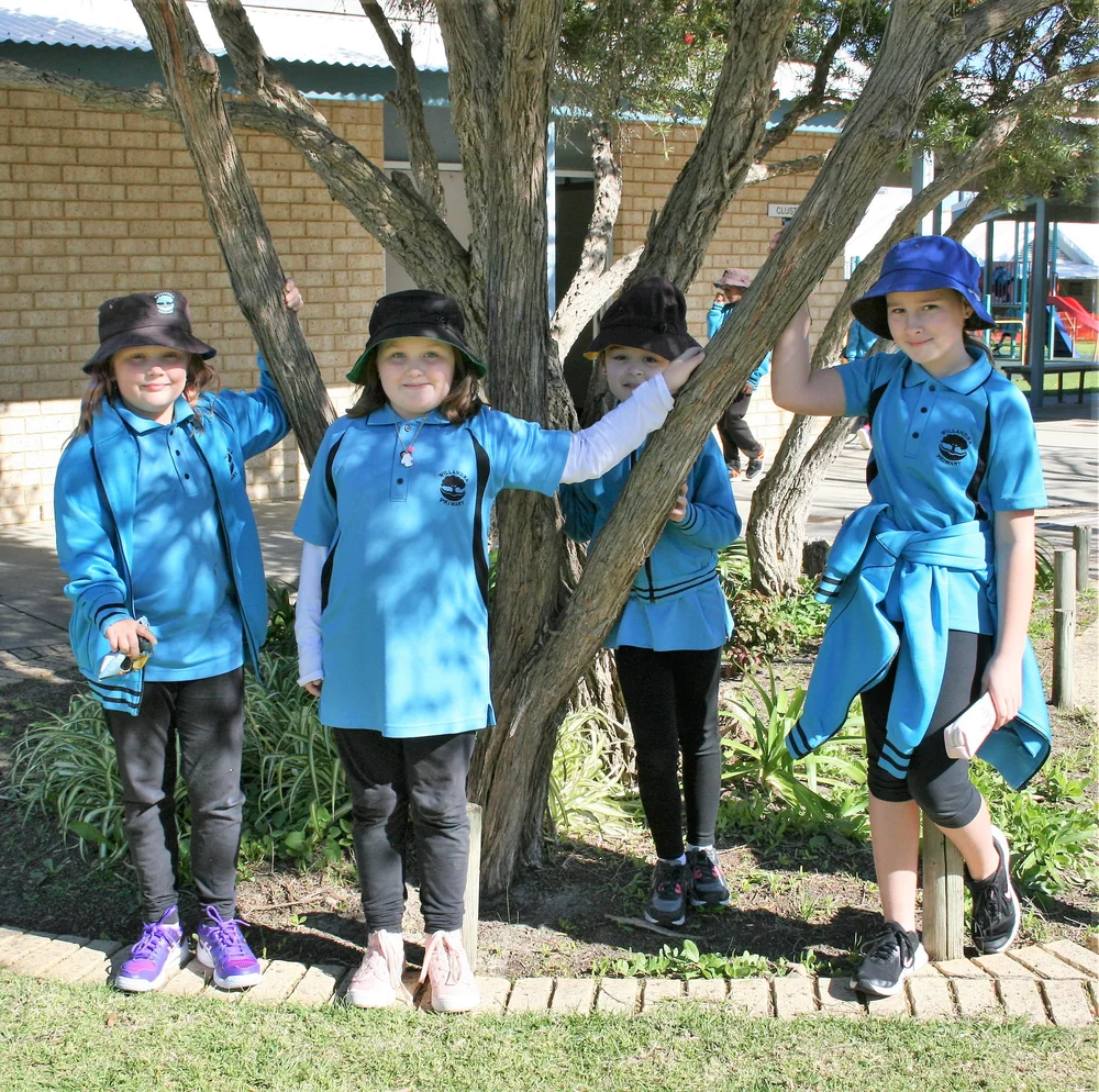 Enrol Today — Willandra Primary School