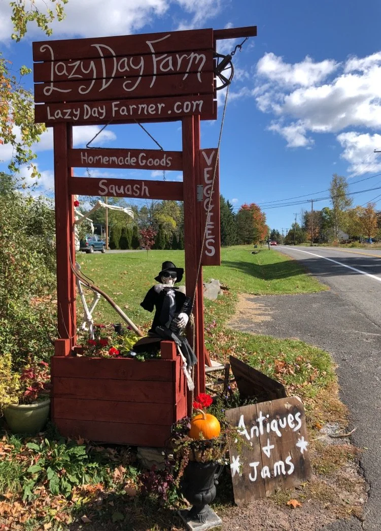 Photos — Lazy Day Farm