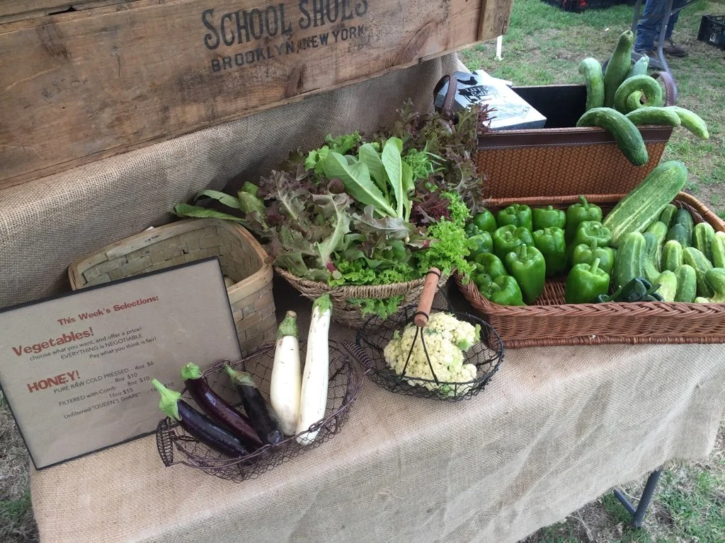 Photos — Lazy Day Farm