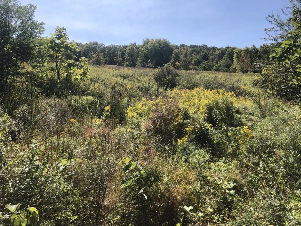 Photos — Lazy Day Farm