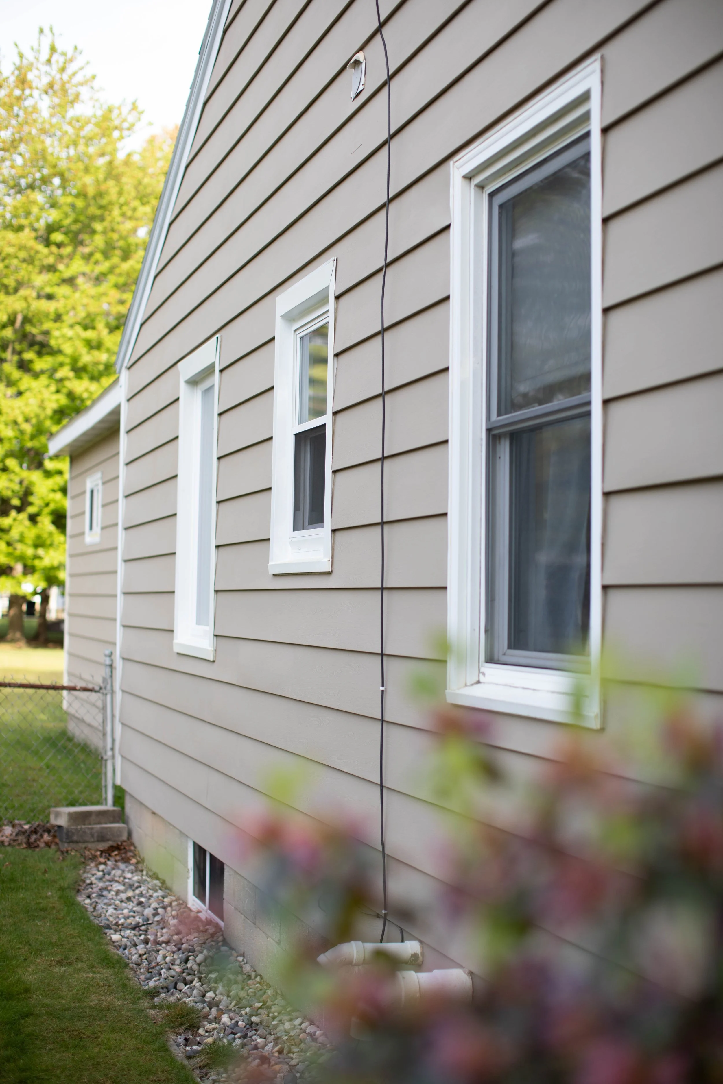 Sanderling Paint Color | Coloring Pages