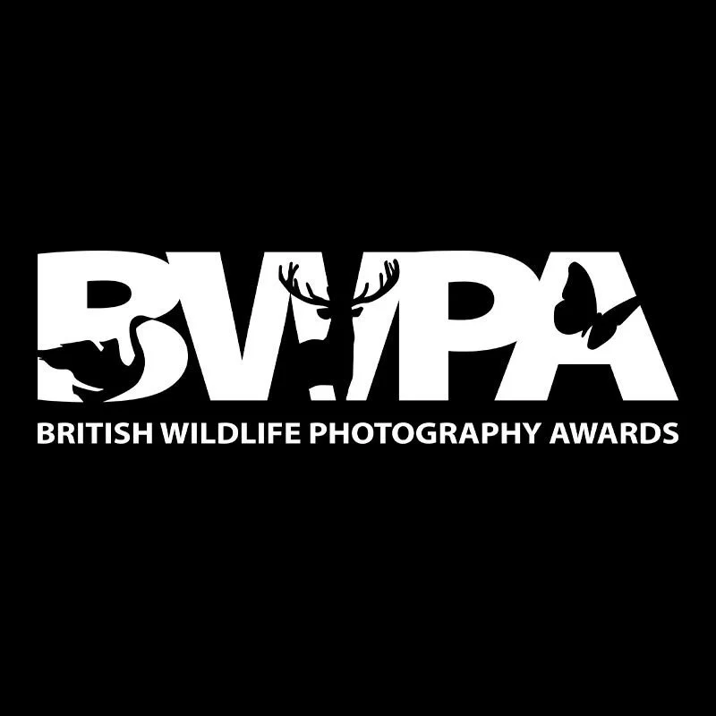 BWPA News — British Wildlife Photography Awards