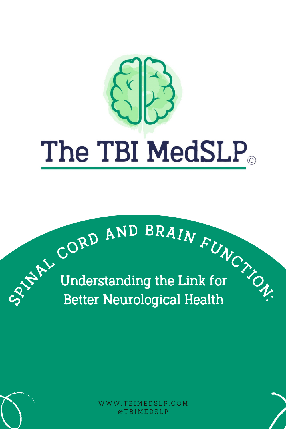 Spinal Cord and Brain Function: Understanding the Link for Better ...