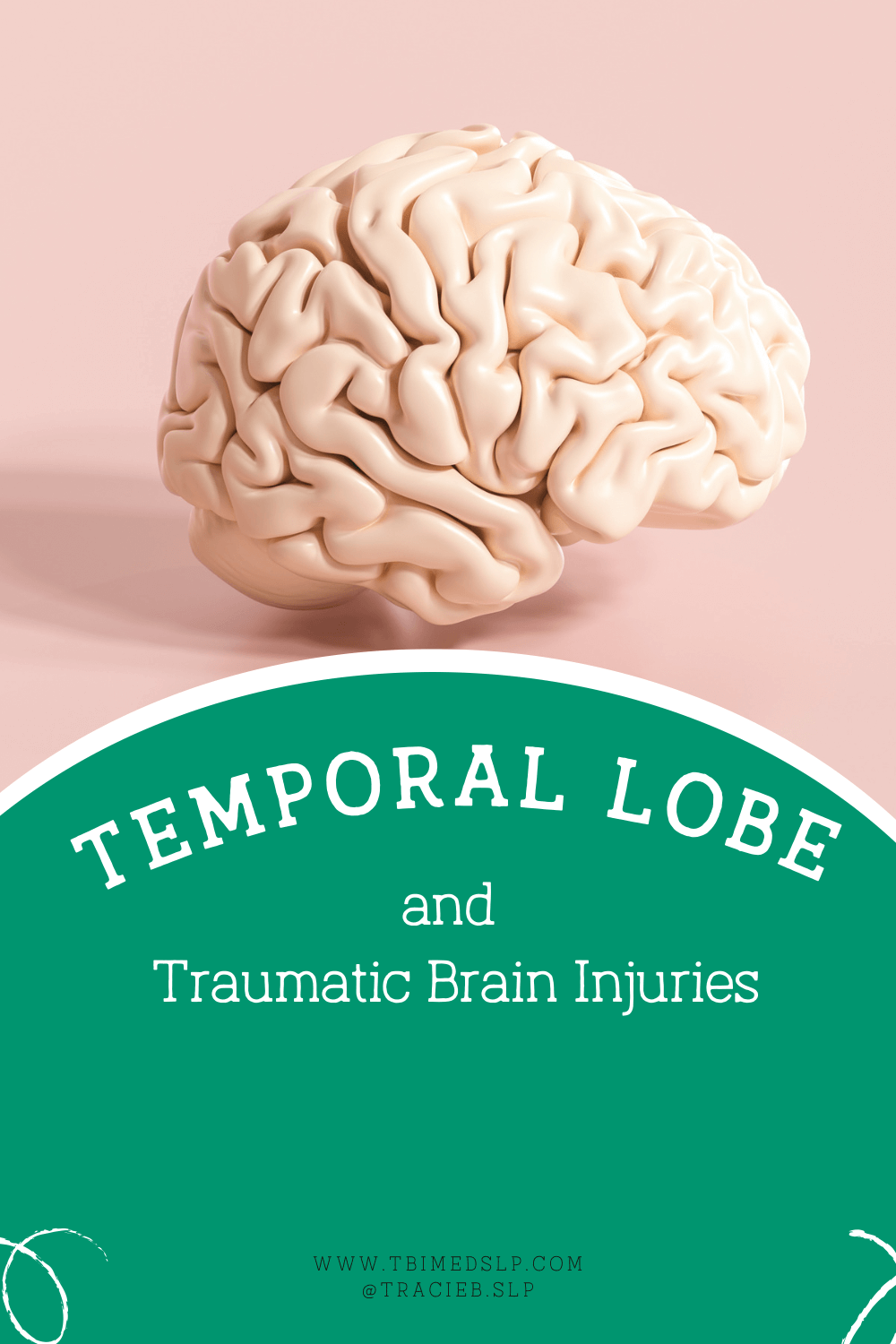 Temporal lobe: Function, Facts, and TBI impairments — TBI MedSLP