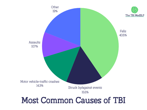 Understanding TBIs: Valuable Insights and Facts You Need to Know — TBI ...