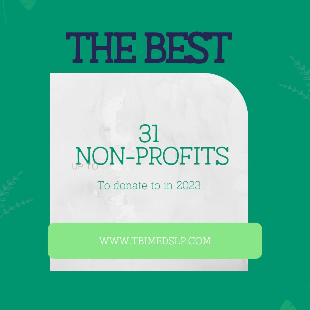 The 31 best non profit organizations to donate to in 2023 — TBI MedSLP