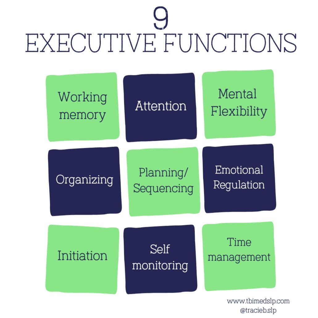 Executive function skills and Traumatic Brain Injury — TBI MedSLP