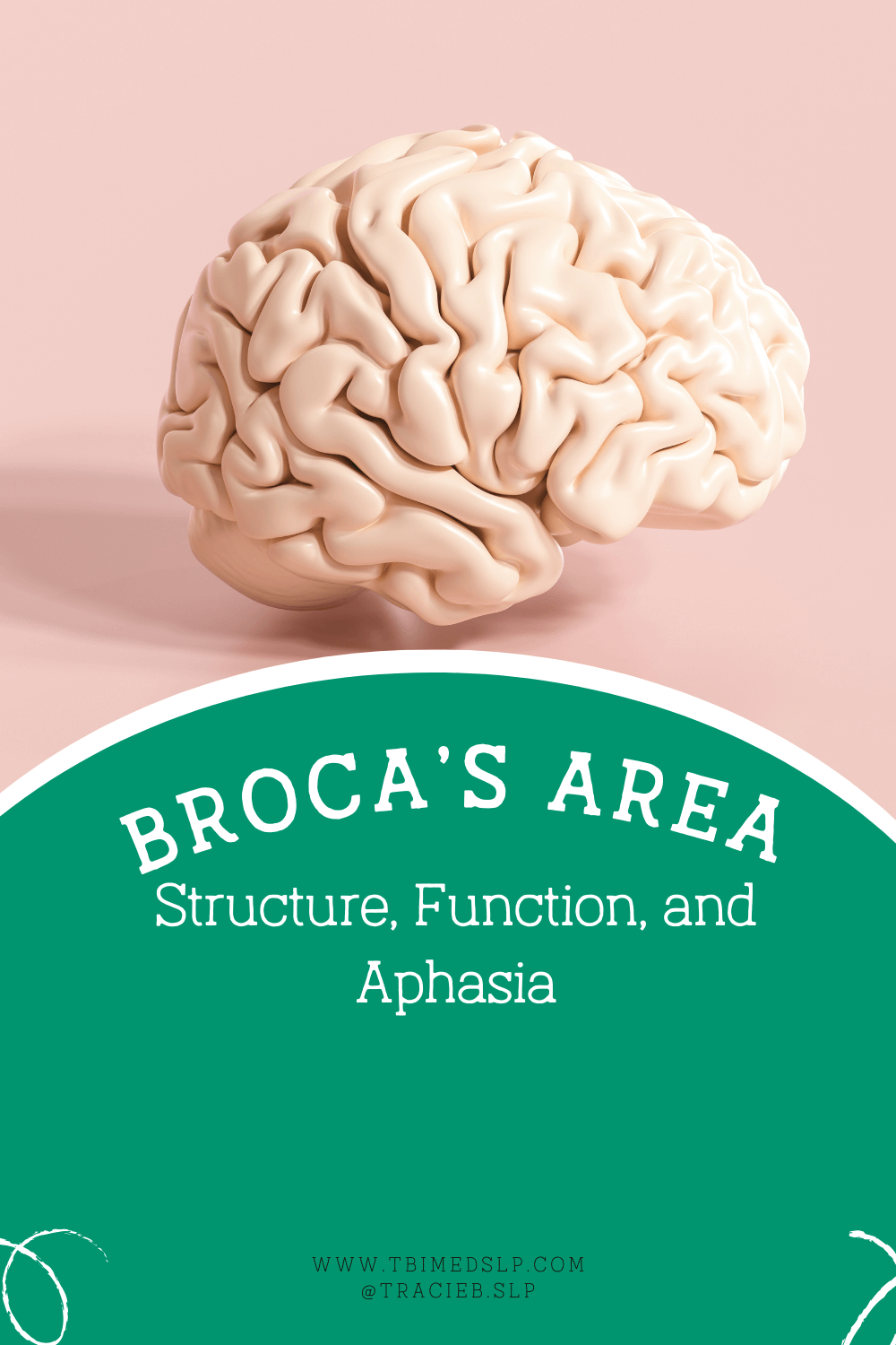 Broca's Area of the Brain: Location, Functions, and Broca's Aphasia ...