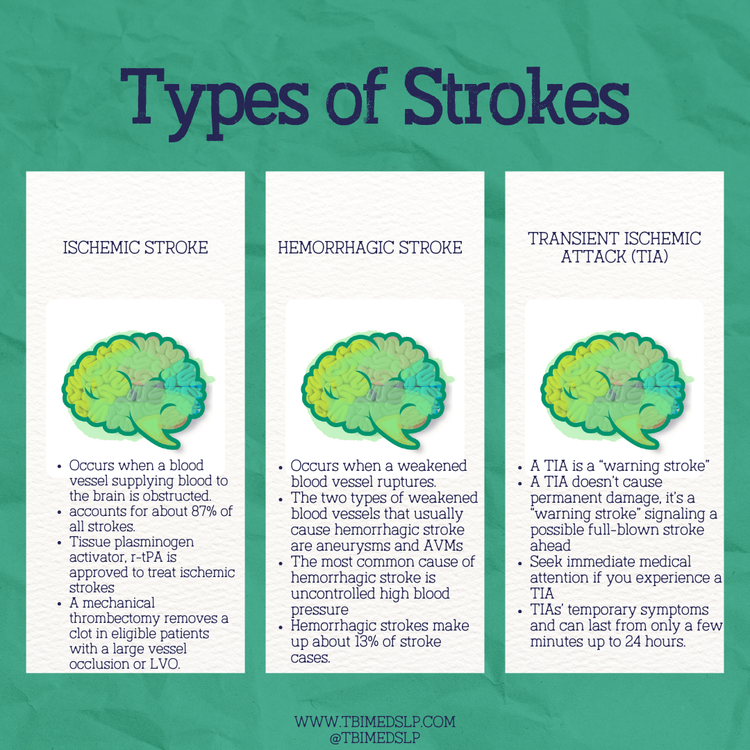 Understanding the Different Types of Stroke — TBI MedSLP