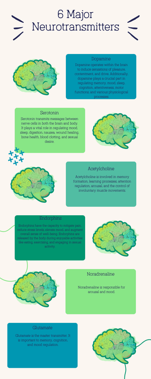 Navigate Your Brain's Chemistry: A Look at 6 Key Neurotransmitters. — TBI MedSLP