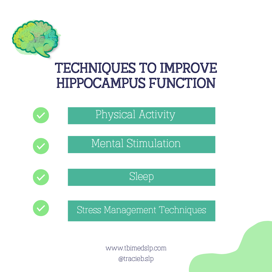 Hippocampus: Structure and Functions — TBI MedSLP