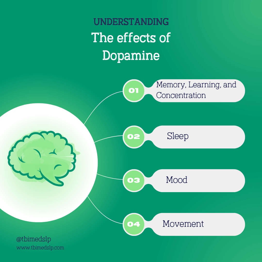 Navigate Your Brain's Chemistry: A Look at 6 Key Neurotransmitters ...