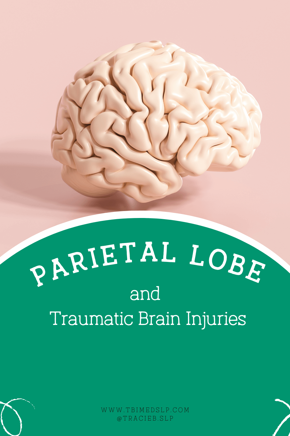 The Parietal Lobe: Function, Facts, and Impact of a TBI — TBI MedSLP
