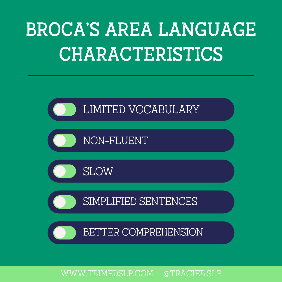 Broca's Area of the Brain: Location, Functions, and Broca's Aphasia ...