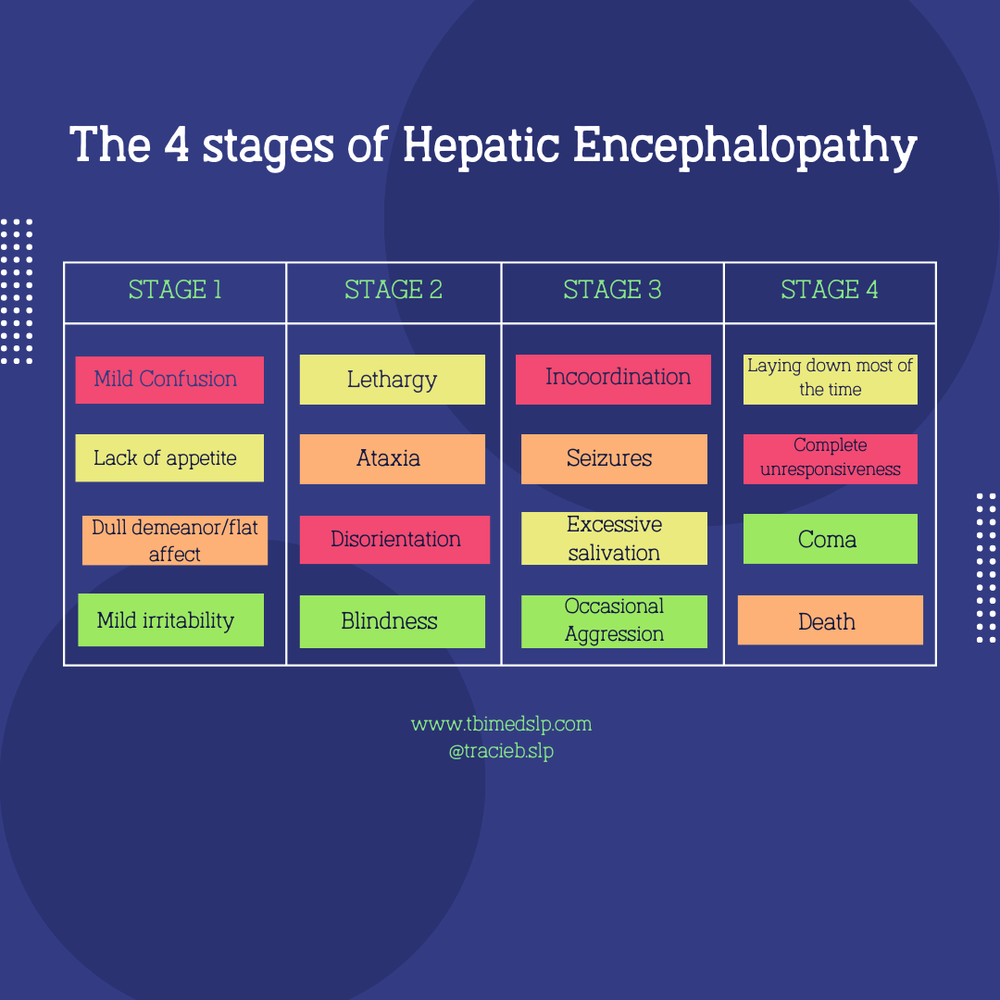 Cognitive Impairment: Understanding Complex Symptoms of Hepatic ...