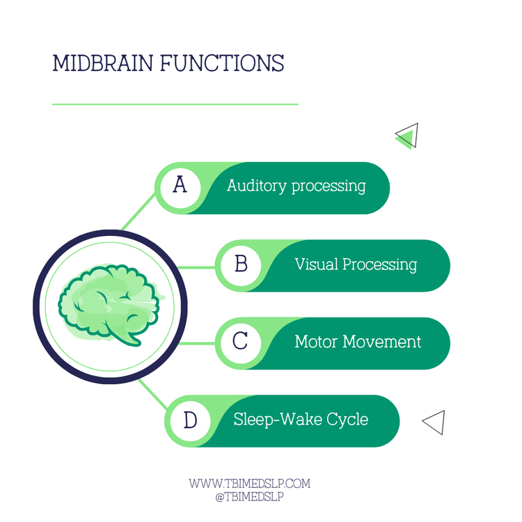 The Central Command Center: Understanding the Function and Location of ...