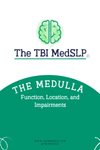 Uncovering the Mysteries of the Medulla Oblongata: Functions and ...