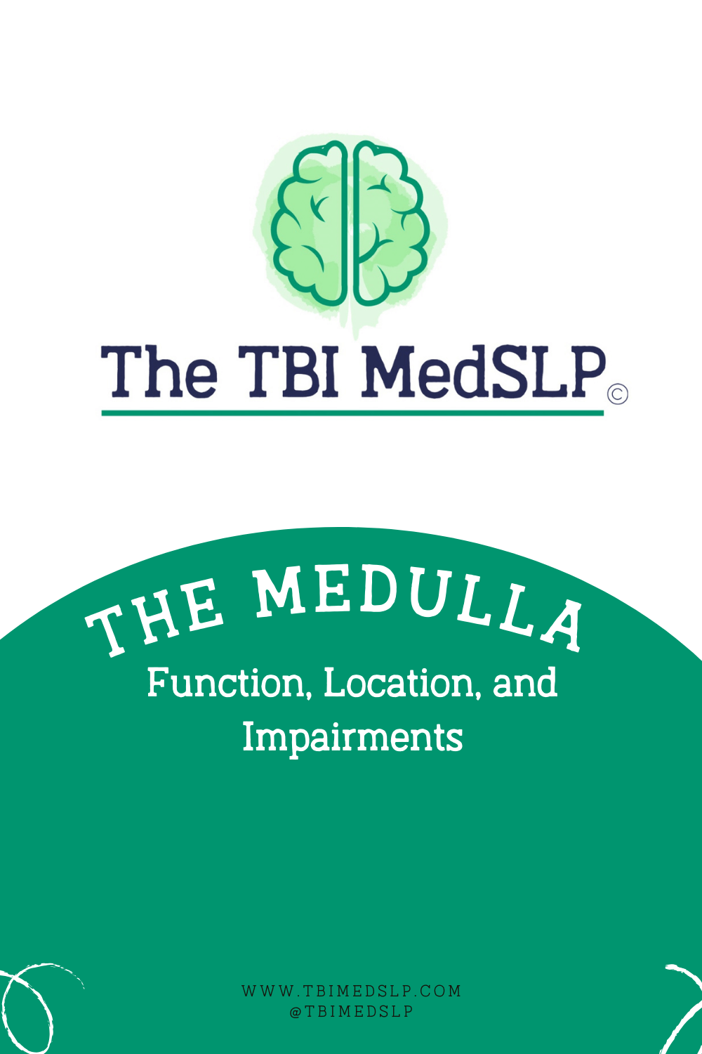 Uncovering the Mysteries of the Medulla Oblongata: Functions and ...