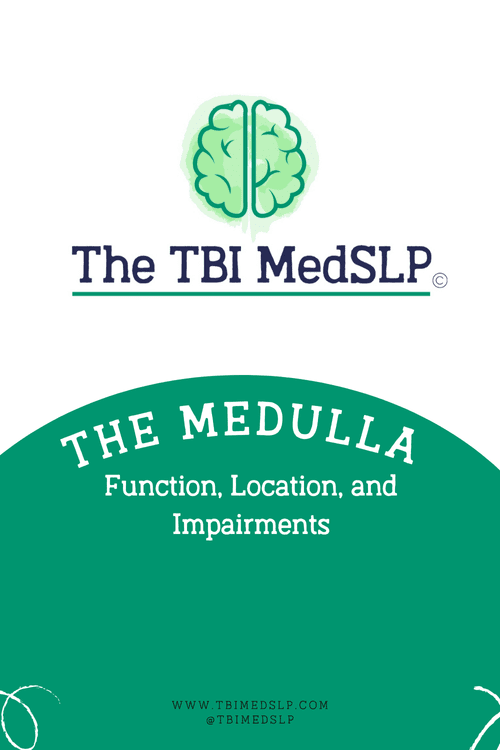 Uncovering the Mysteries of the Medulla Oblongata: Functions and ...