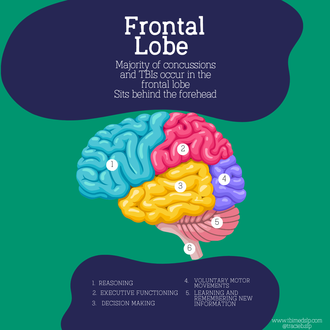 Frontal Lobe and Traumatic Brain Injuries — TBI MedSLP