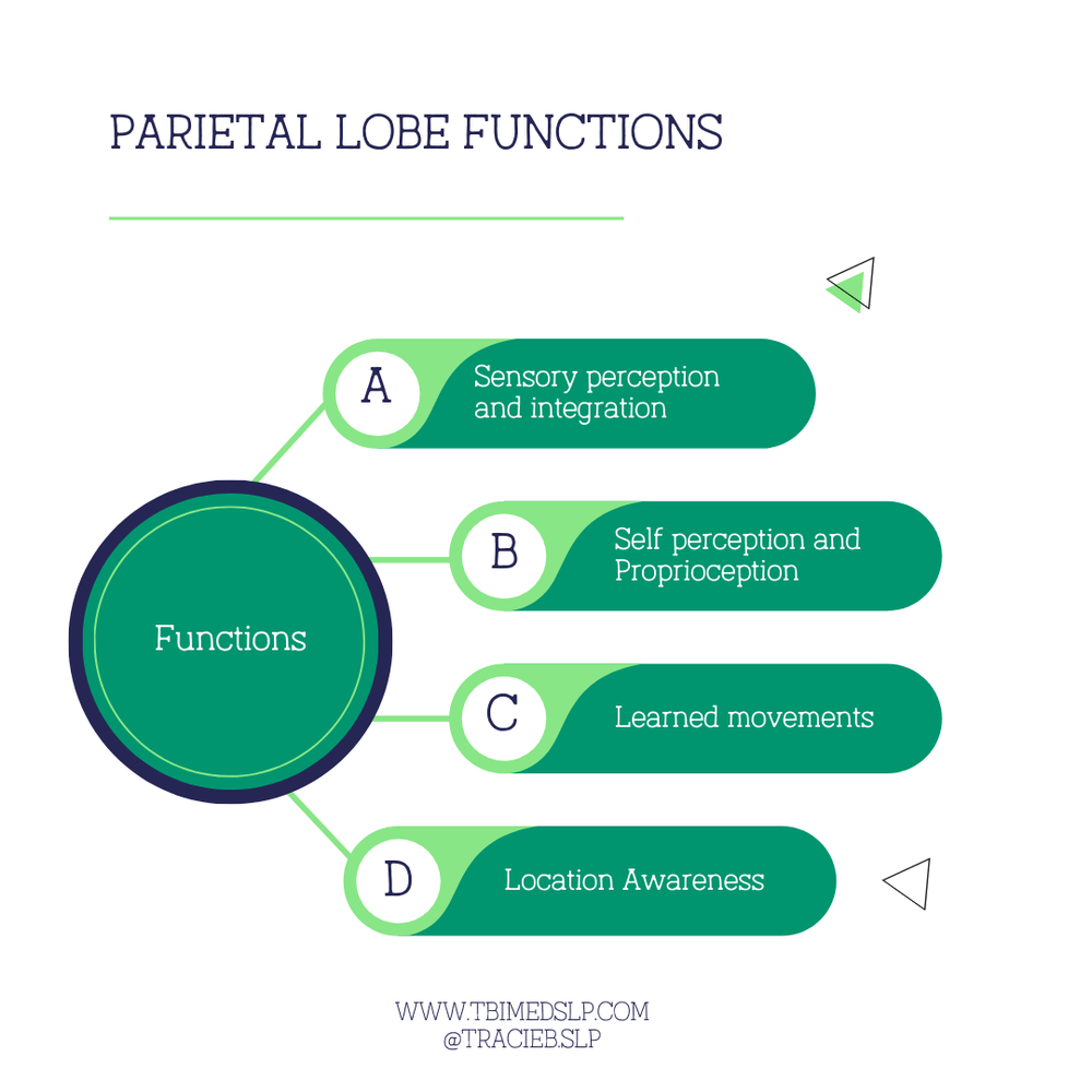 The Brain: Shedding Light on The Public Health Epidemic of Brain Injury ...