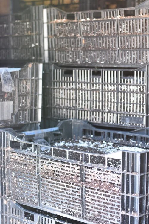 cooler/bulb storage hack — little farmhouse flowers