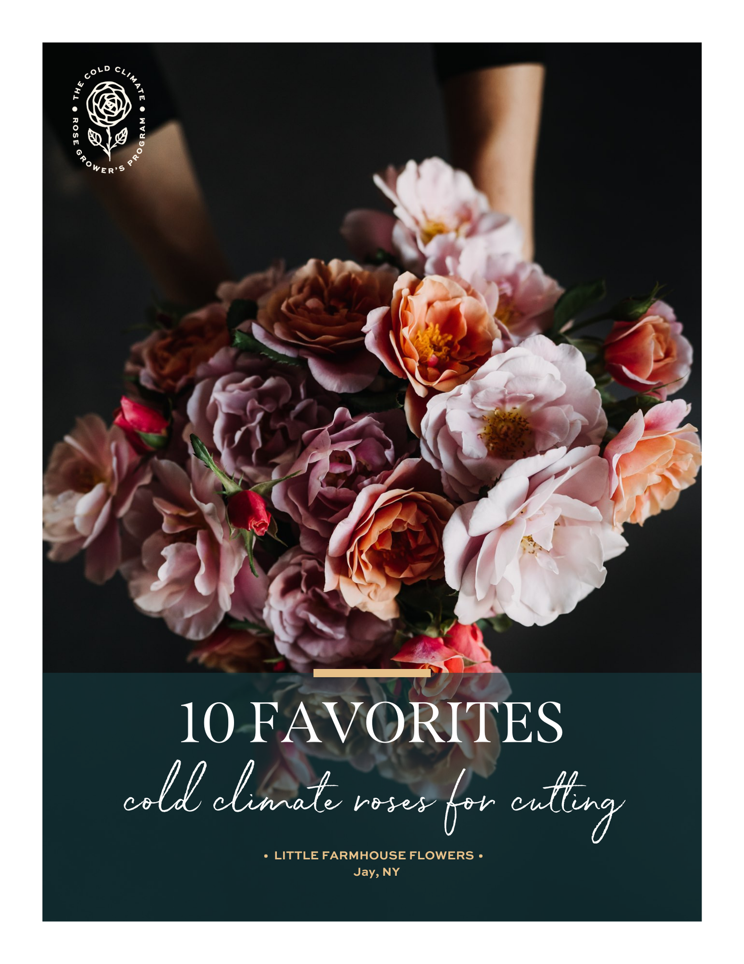 Cold Climate Roses — little farmhouse flowers