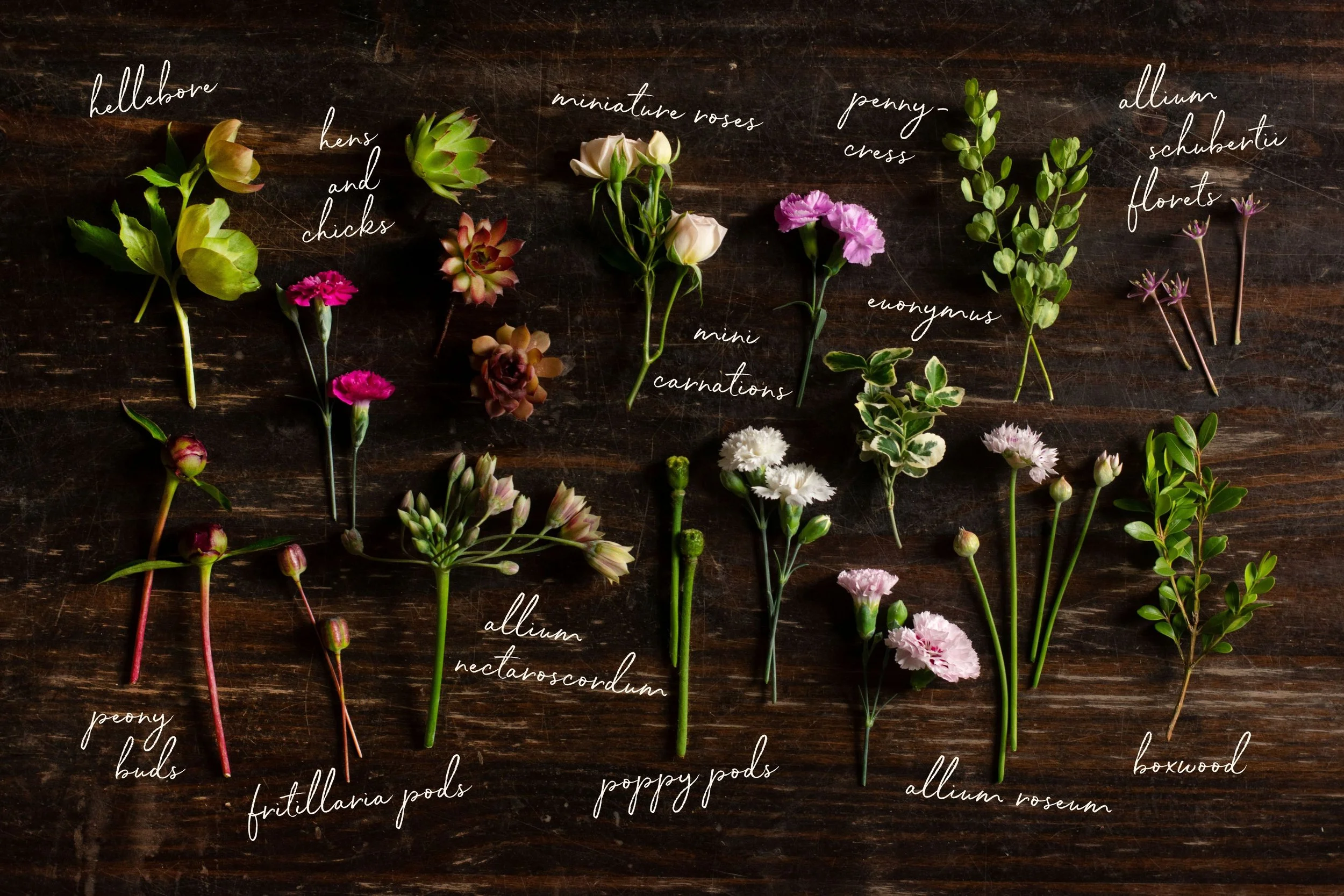 Non-Wilting Botanicals for JUNE — little farmhouse flowers
